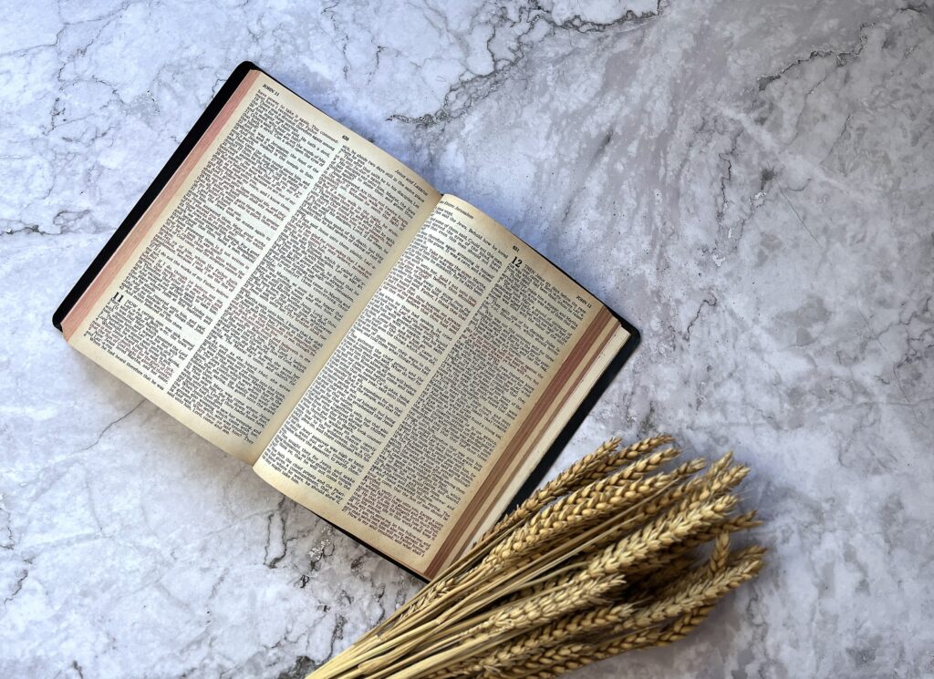 Exploring 'I AM' Statements in John: Part Three - National Bible Bee ...